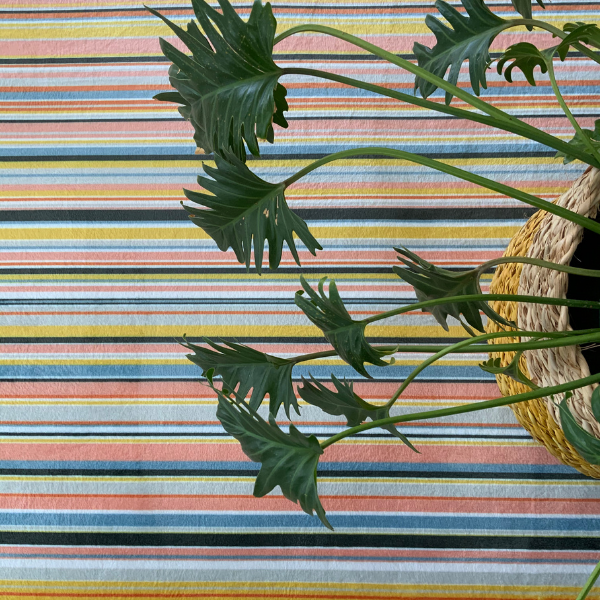 Airloom South Africa | Rugs, Vinyl Flooring, Fitted Carpets. Product ...