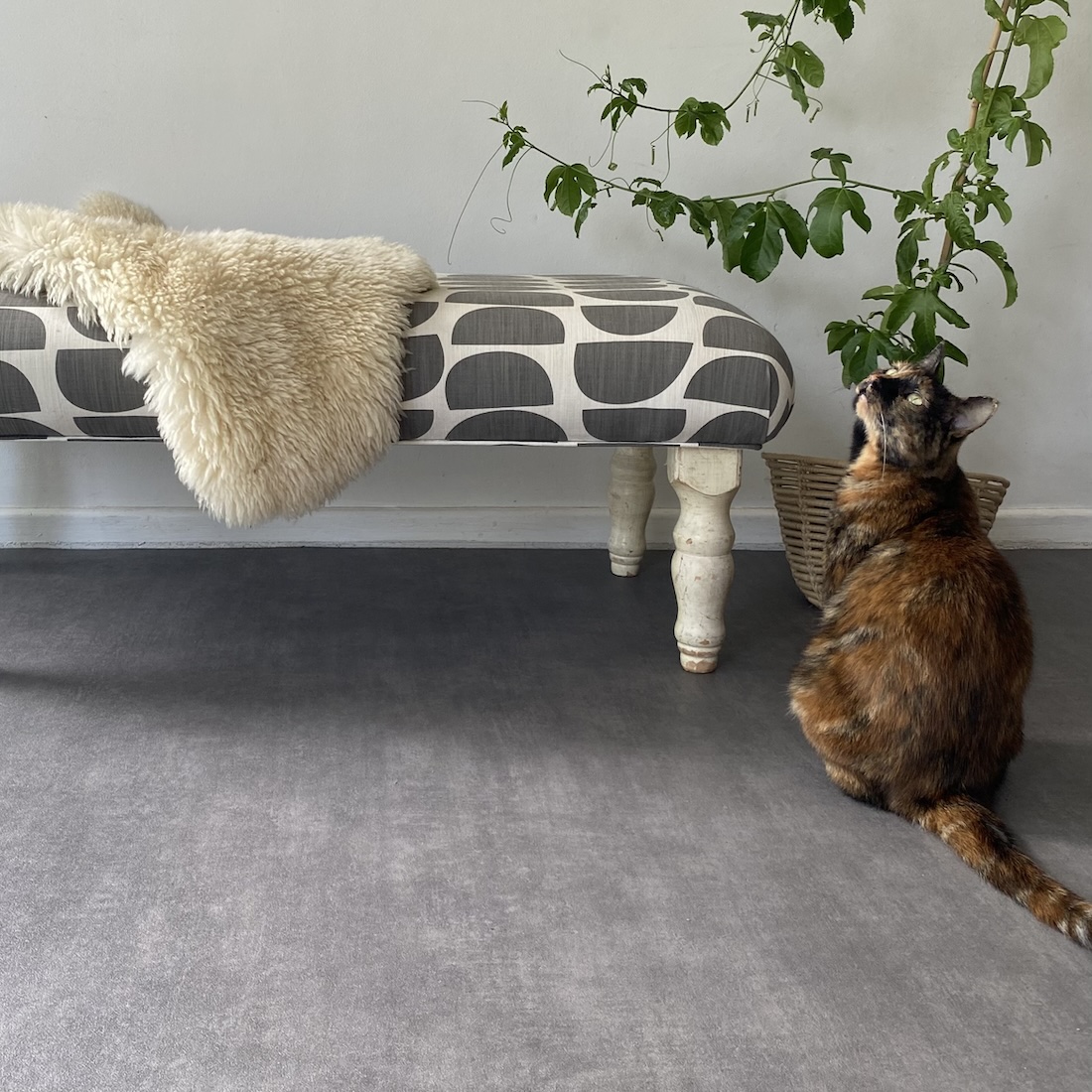 Airloom South Africa | Rugs, Vinyl Flooring, Fitted Carpets. Product ...